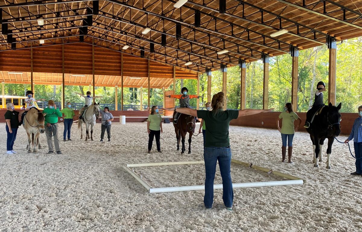 Free Rein Center – Horses Helping Humans Heal