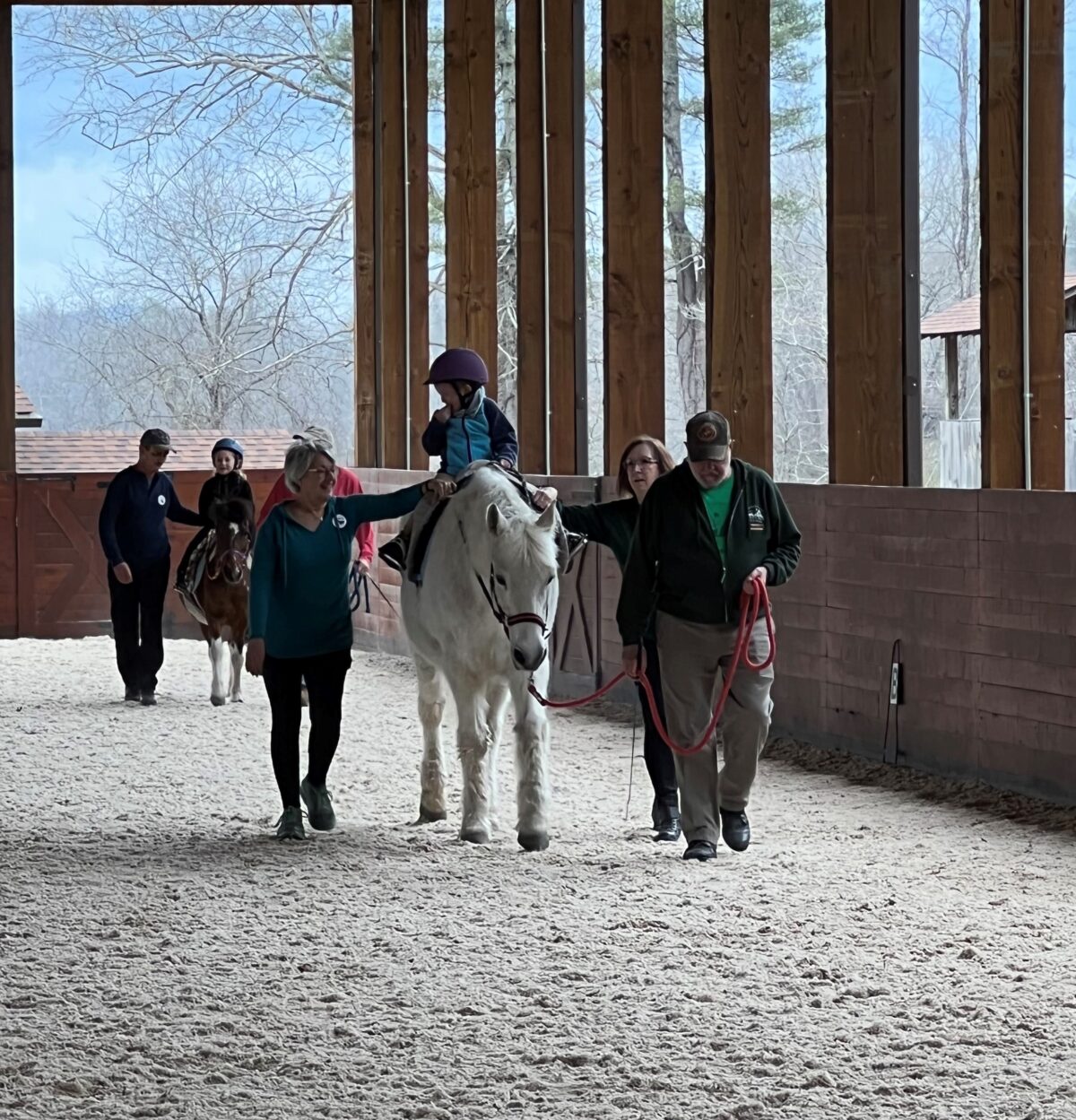 Free Rein Center – Horses Helping Humans Heal